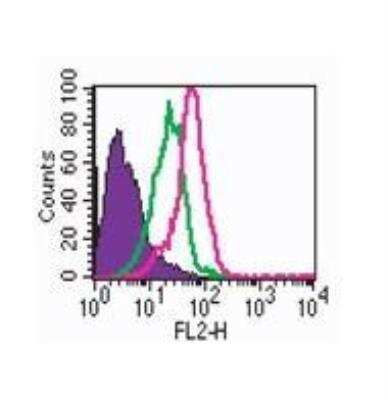 TLR7 Antibody [PE] (NBP2-31071): Novus Biologicals